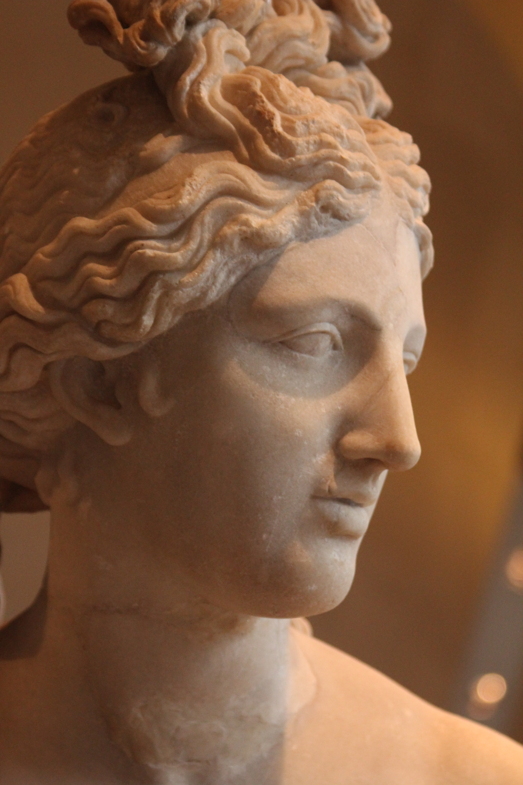 6 Types of Travelers | Little Red Roaming